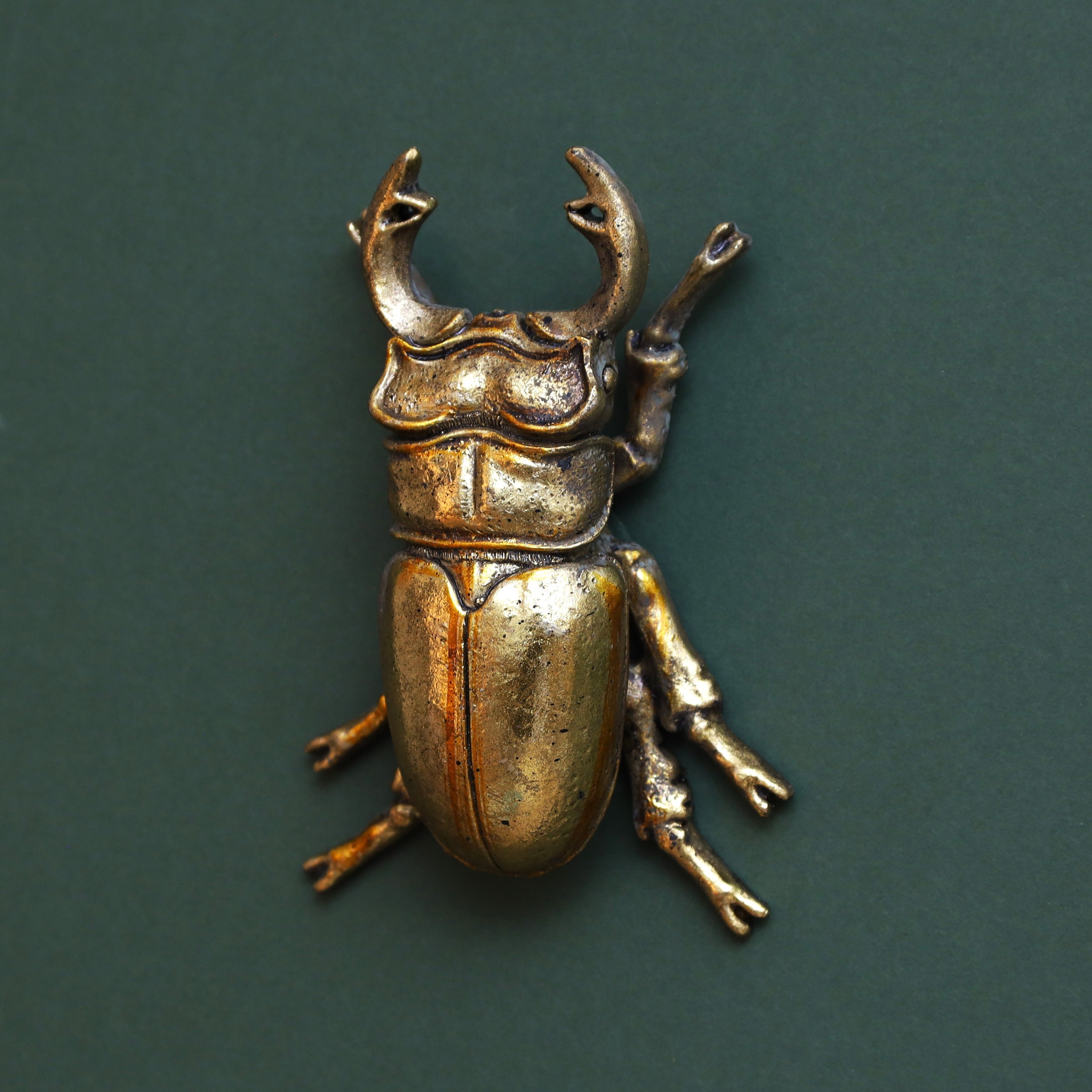 23cm Large Stag Beetle Wall Art Wall Hanging Bug Insects Ornament Wall ...