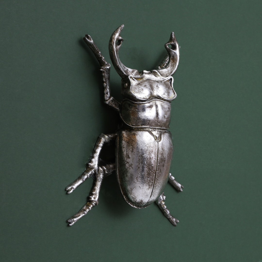 23cm Large Stag Beetle Wall Art Wall Hanging Bug Insects Ornament Wall ...