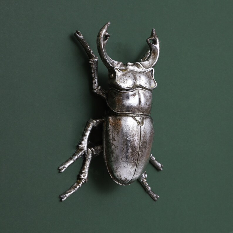 23cm Large Stag Beetle Wall Art Wall Hanging Bug Insects Ornament Wall ...