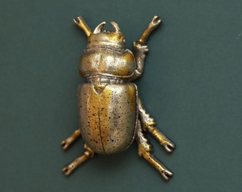 15cm Small Stag Beetle Wall Art Wall Hanging Bug Insects Ornament Wall ...