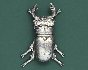 15cm Small Stag Beetle Wall Art Wall Hanging Bug Insects Ornament Wall ...