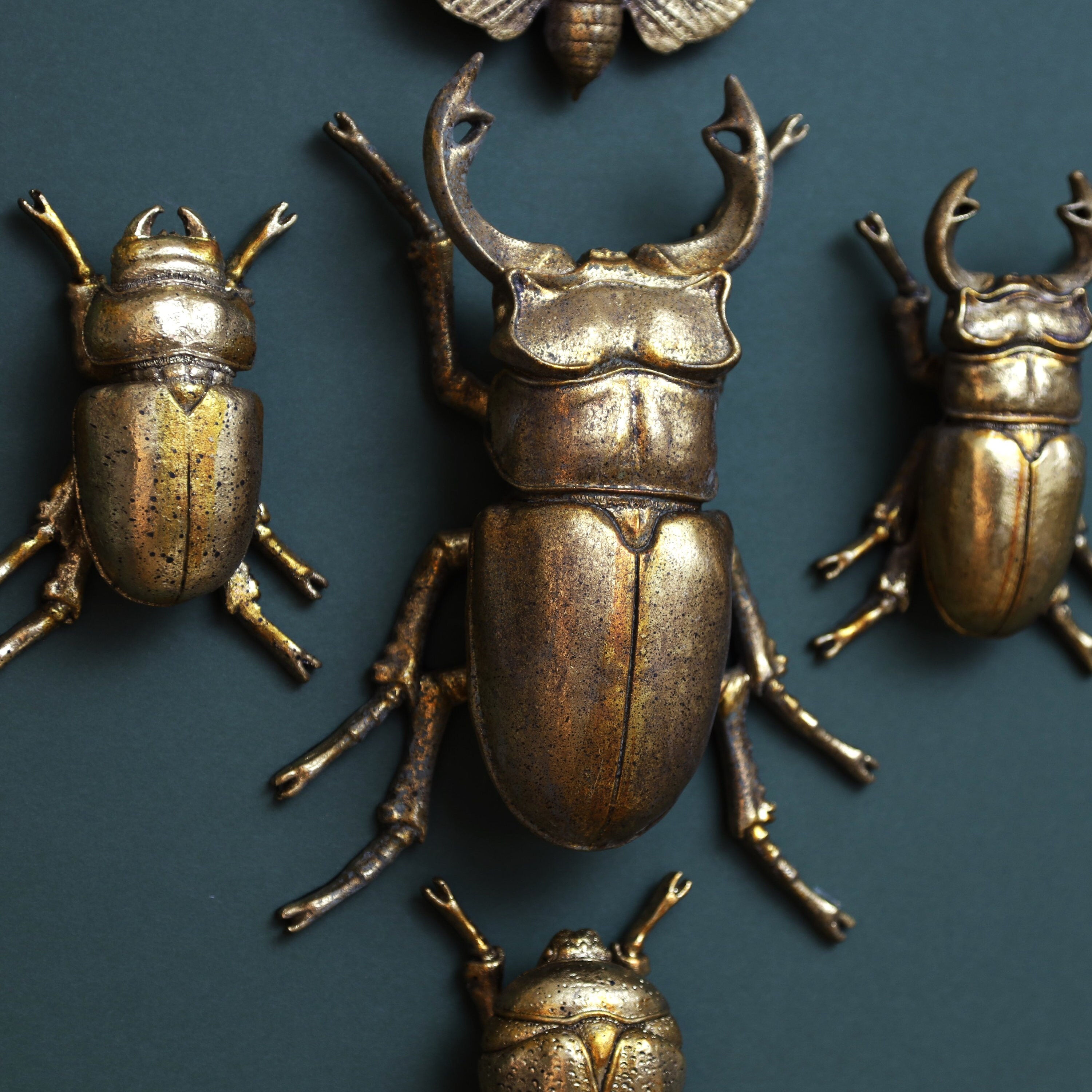 23cm Large Stag Beetle Wall Art Wall Hanging Bug Insects Ornament Wall ...