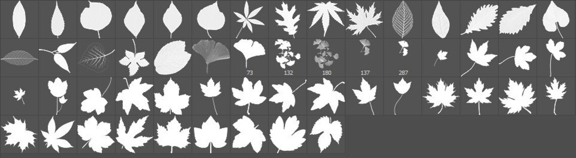 Fallen Leaves Procreate Brush Ginkgo Photoshop Brush Autumn Photoshop ...