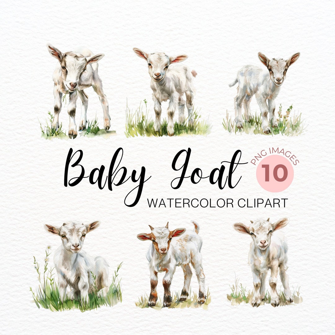 10 Baby Goats Clipart, Baby Goat Clipart, Cute Goat Printable ...