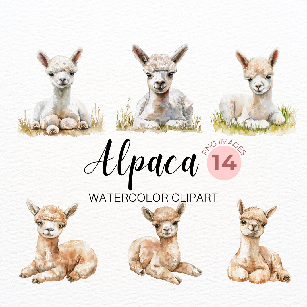 Alpaca Clipart, Cute Alpaca PNG, PNG Bundle, Printable, Alpaca Head PNG ...