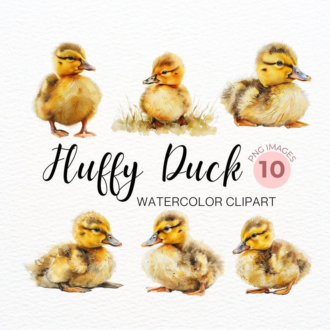 Easter Duck Clipart Pack, Cute Duck Clipart, Duck PNG, Spring Clipart ...