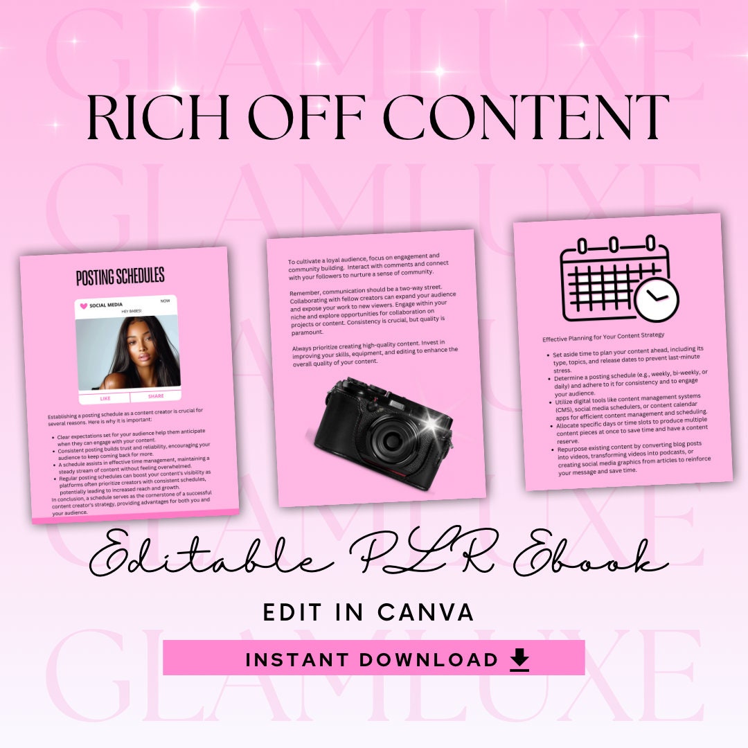 PLR, Rich off Content Ebook, White Label Planner, Done for You, Content ...