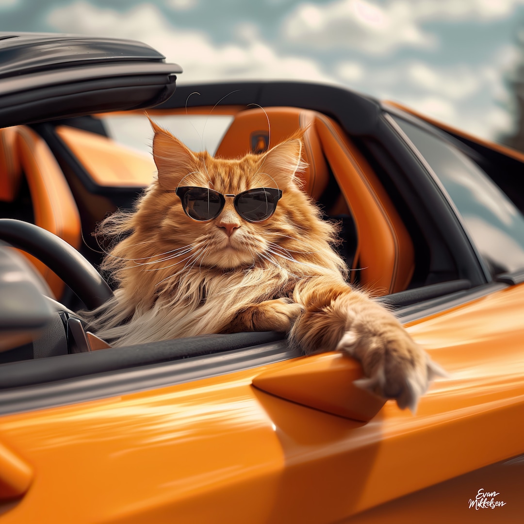 Orange Maine Coon Cat Driving Lamborghini Canvas Print With Black Frame ...