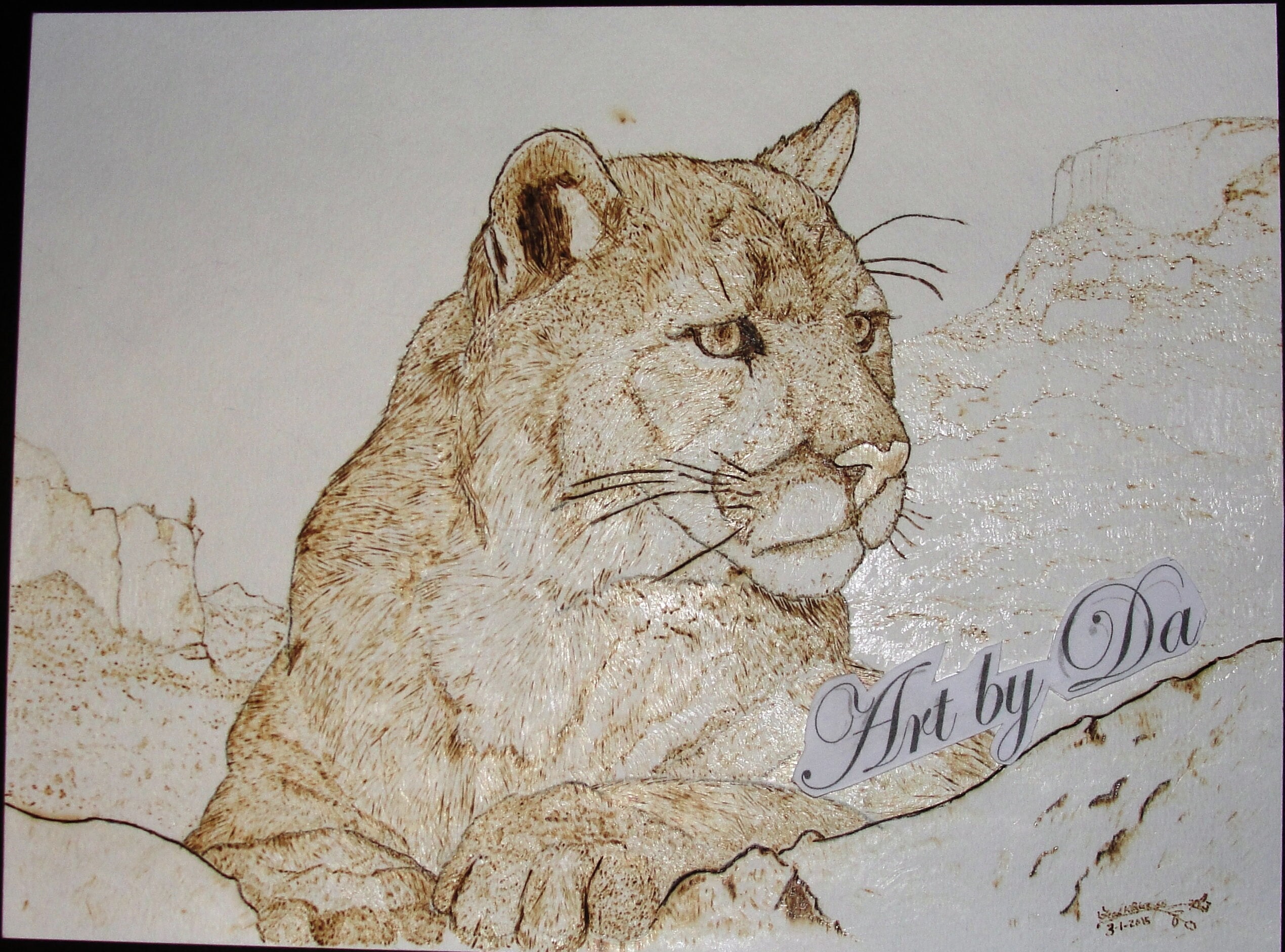 Mountain Lion Cougar Puma Big Cat Hand Burned Drawing Pyrography on Textured 140lb Watercolor ...