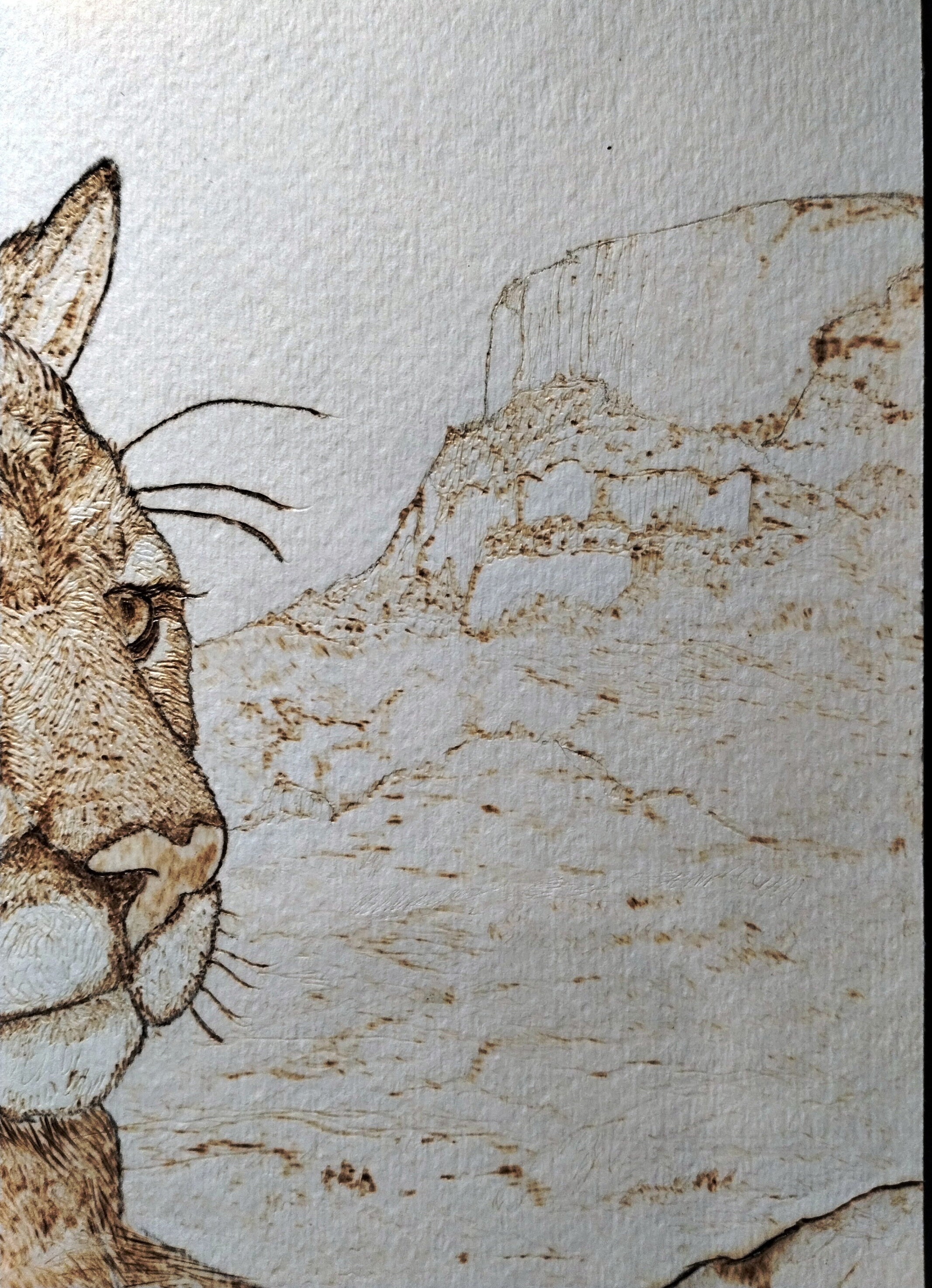 Mountain Lion Cougar Puma Big Cat Hand Burned Drawing Pyrography on Textured 140lb Watercolor ...