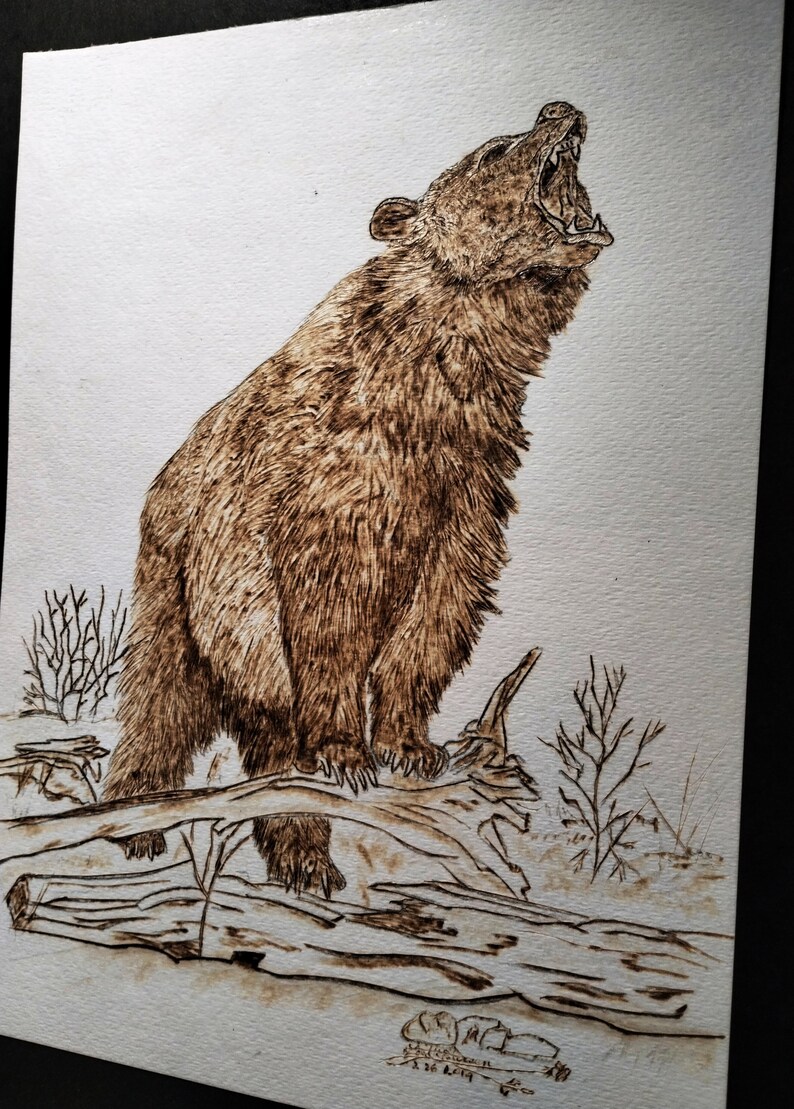 Grizzly Bear - Hand Burned Drawing - Pyrography on Textured Watercolor ...