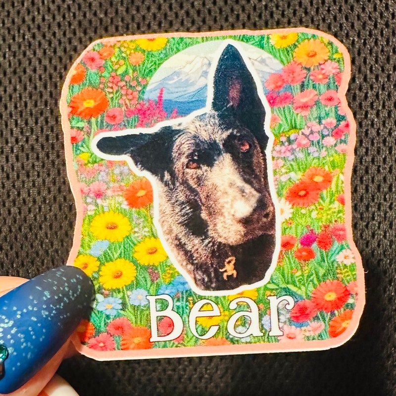 Custom Pet Stickers - Etsy