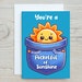 Sunshine Friendship Greeting Card for A Friend Youre A Pocketful of ...