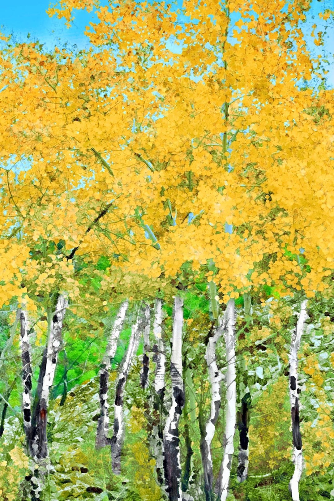 Yellow Aspen Trees Greeting Note Card, Blank With Customizable Front ...