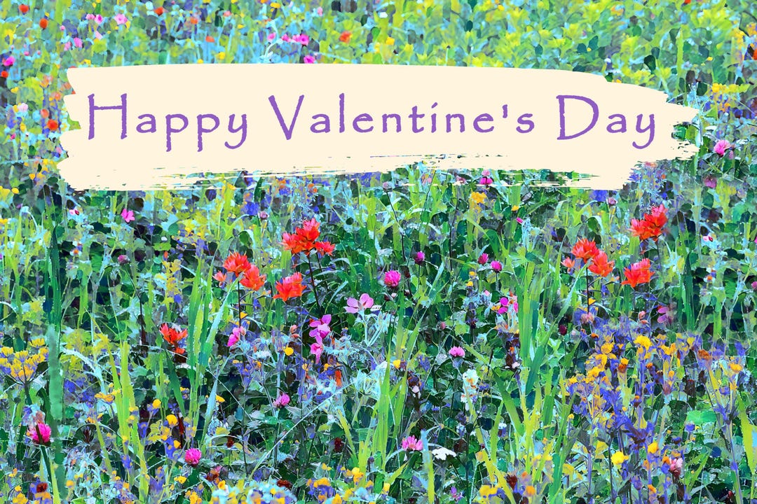 Colorful Wildflowers Valentine's Day Card, Blank Inside W/customizable ...