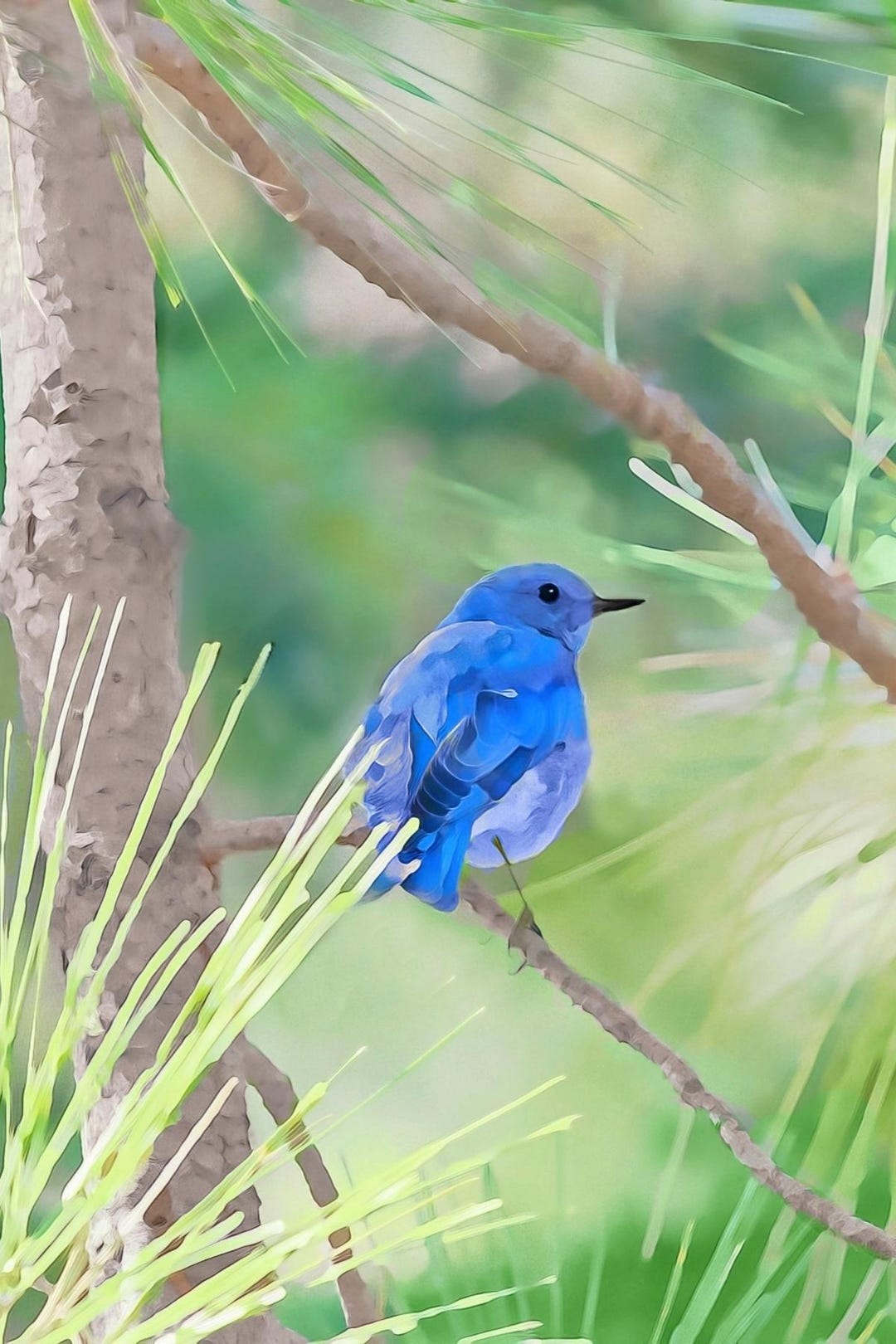 Bluebird Greeting or Note Card, Blank With Customizable Front Text ...