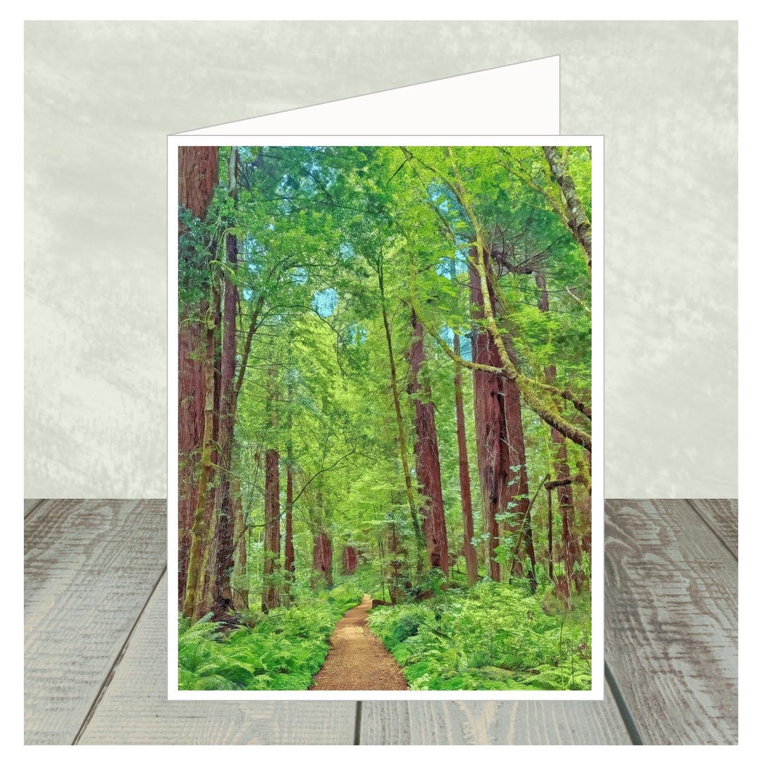 California Redwood Trees Greeting/note Card, Blank Inside W ...