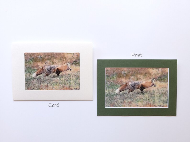 Yellowstone Fox Card or Print, Wildlife Photo Art, Blank Wildlife Cards ...
