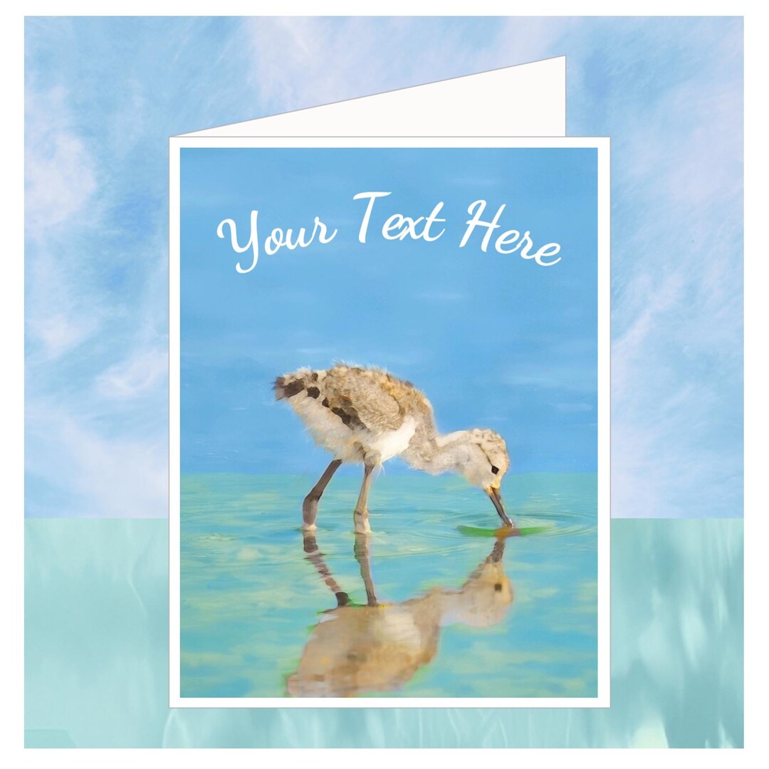 Baby Stilt Card, Shorebird Bird Photo Art, Blank Nature Cards, Avian ...