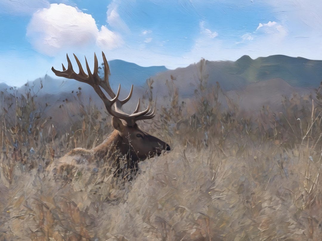 Bull Elk Greeting or Note Card, Blank With Customizable Front Text ...
