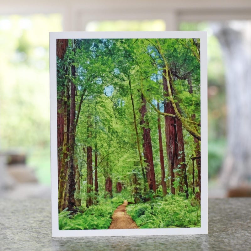 Redwood Tree - Etsy