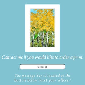 Yellow Aspen Trees Greeting/note Card, Blank Inside W/customizable ...