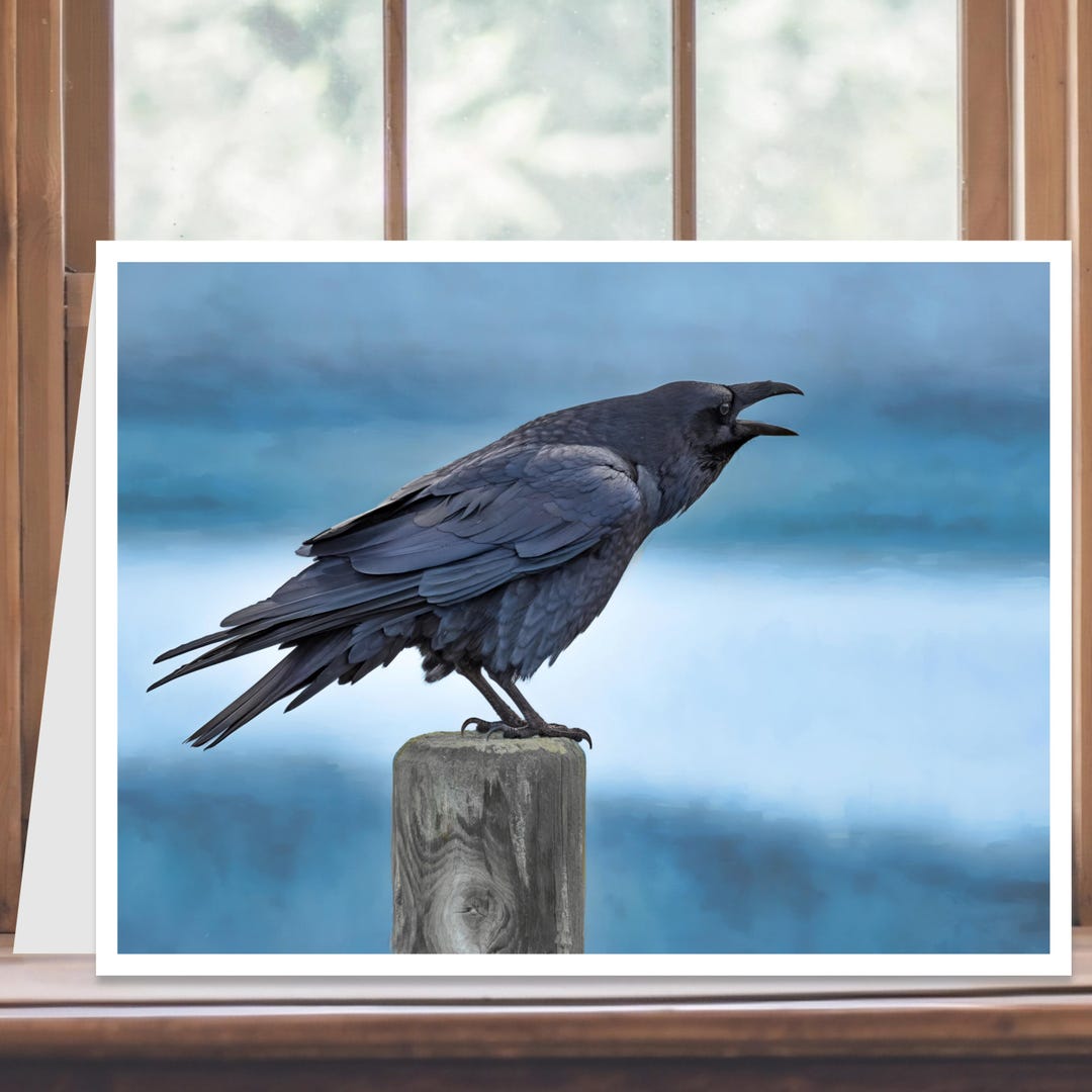 Raven Greeting or Note Card, Blank or Personalized for Birthday + Any ...