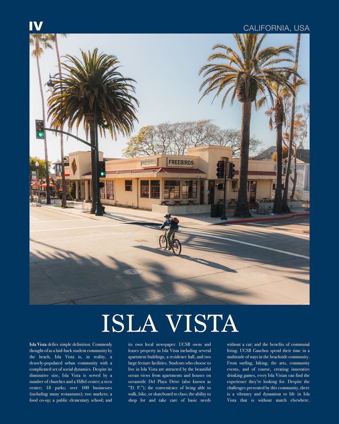 Isla Vista Freebirds Travel Poster - Etsy