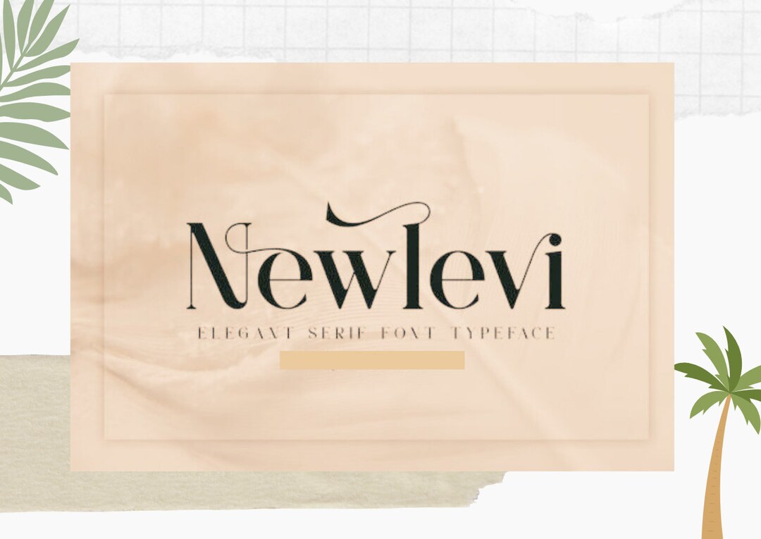 Newlevi Serif Font Bundle Serif Font, Canva Font, Procreate Font, Logo ...