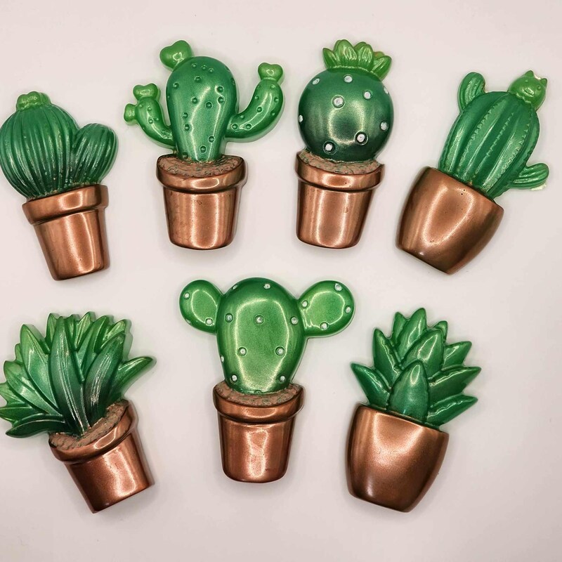 Succulent Magnet - Etsy