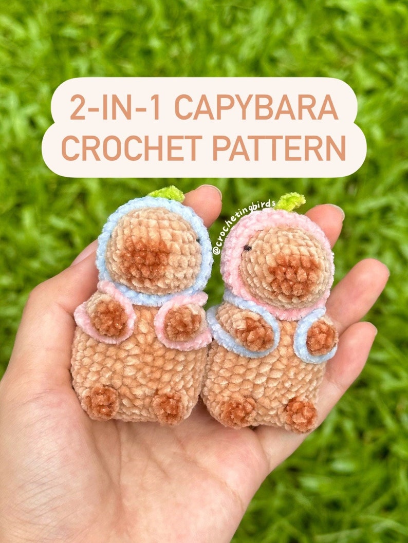 2-in-1 Capybara Crochet Pattern - Etsy