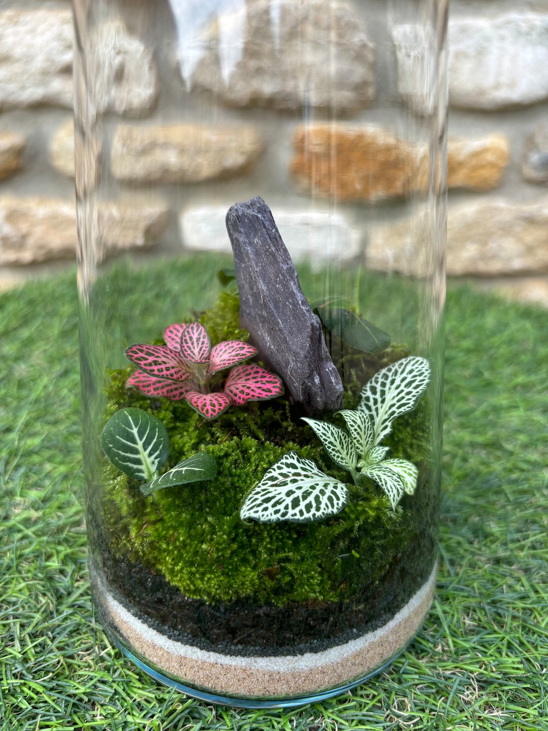 Beautiful Tropical Terrariums! Easy Care, Low Maintenance, Miniature ...