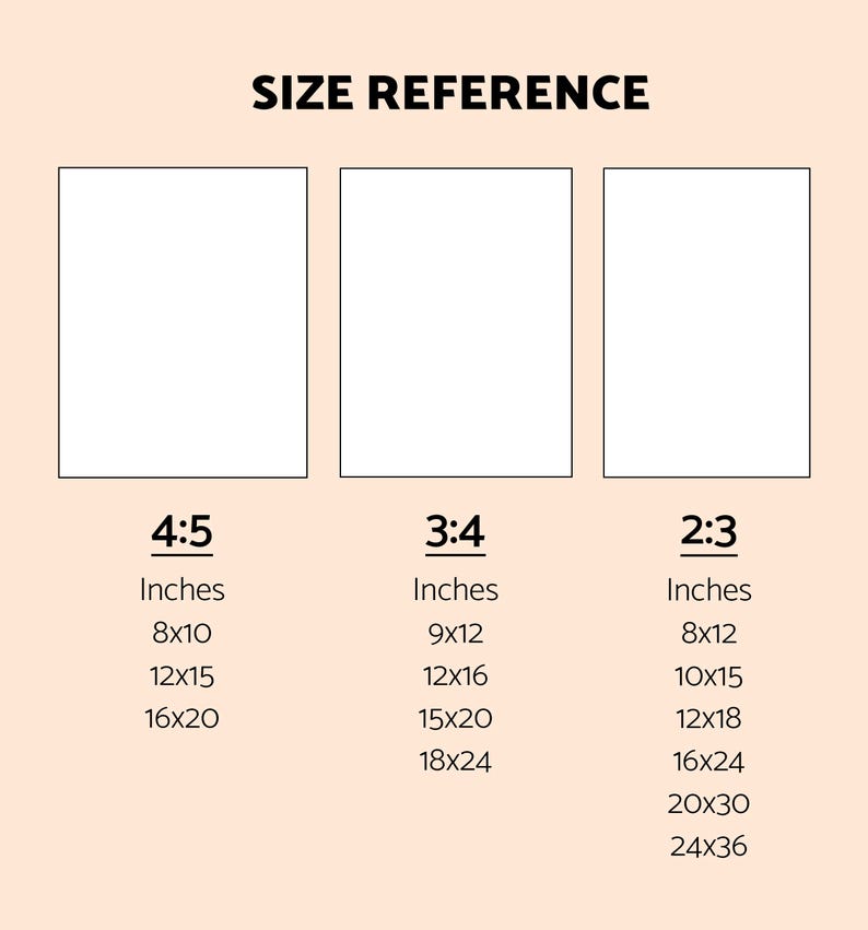 Months Poster - English, Spanish and Bilingual - Colors - Etsy