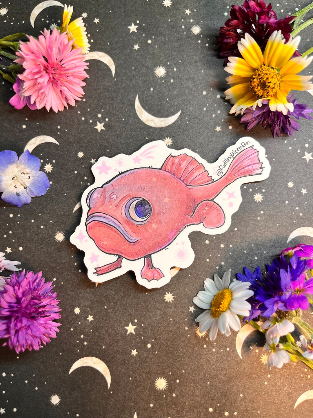 Sea Toad, Angler Fish, Split Backed Vinyl Sticker - Etsy
