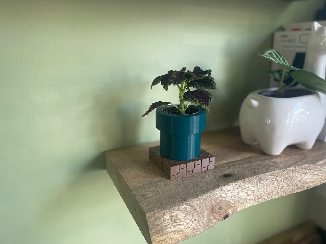 Super Mario Pipe Plant Pot 3D STL Files - Retro Gamer Decor - Etsy