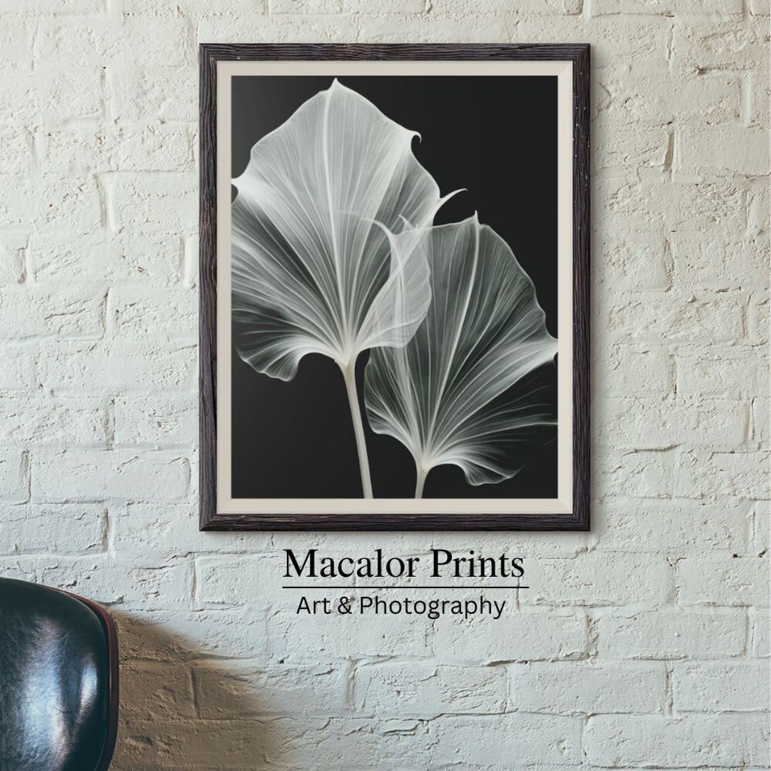 Printable White Xray Flower Wall Art Prints | Digital Download ...