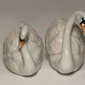 FRANZ Collection Swan Lake Salt and Pepper Set - Etsy
