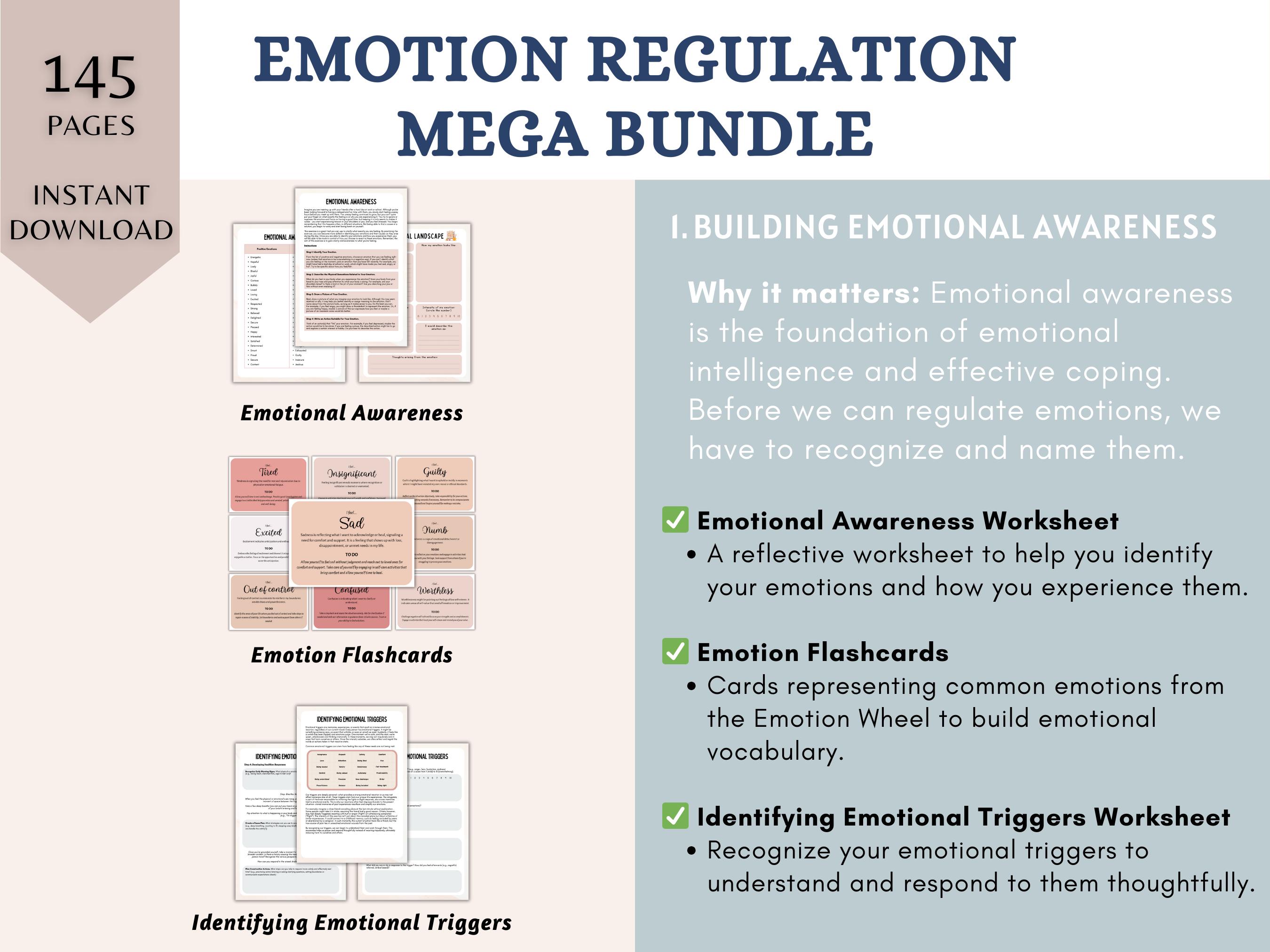 Emotional Regulation Bundle Zones of Regulation Emotion Wheel Self ...