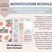 Mindfulness Mega Bundle Mindfulness Toolkit DBT Mindfulness Skills ...