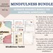 Mindfulness Mega Bundle Mindfulness Toolkit DBT Mindfulness Skills ...