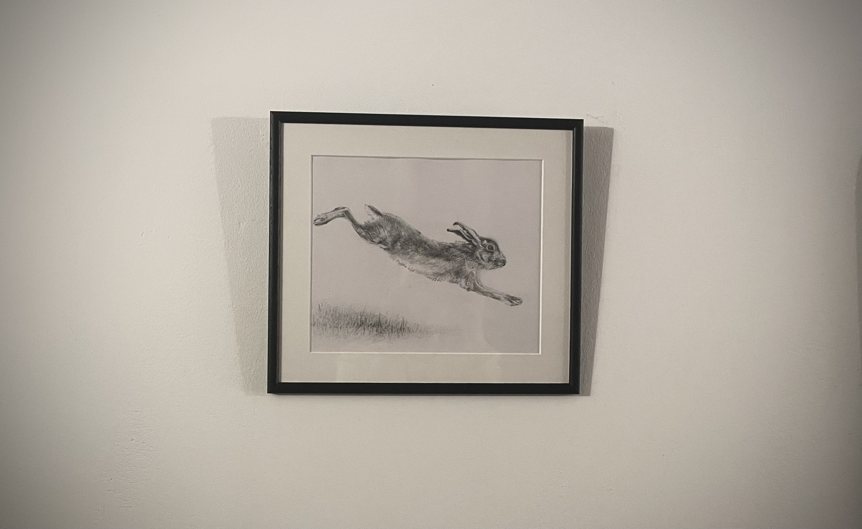 Original Pencil Graphite Drawing of a Norfolk Hare Framed Wall Art ...