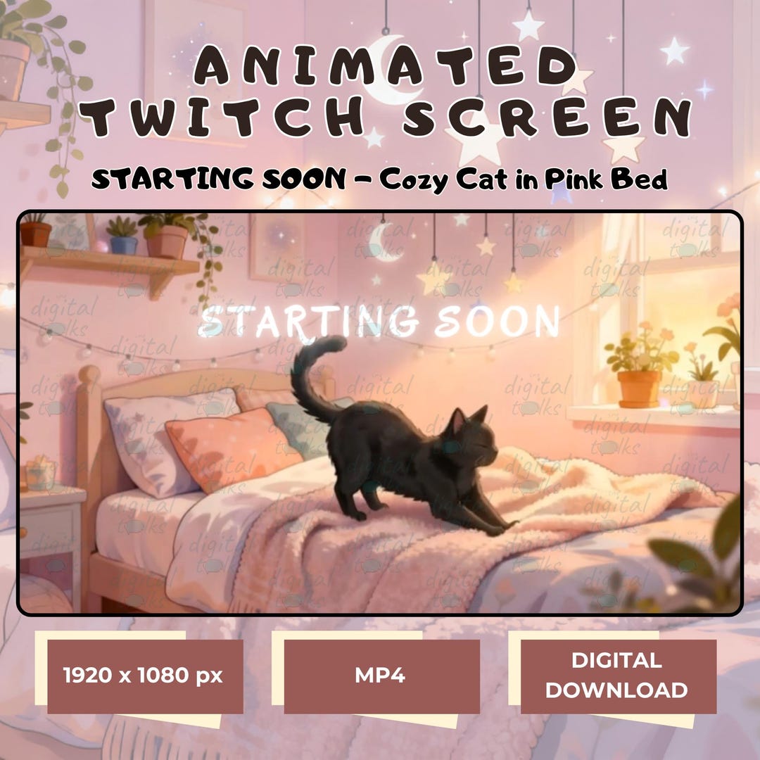 Animated Twitch Starting Soon Screen: Cozy Black Cat in Pink Room (MP4 ...