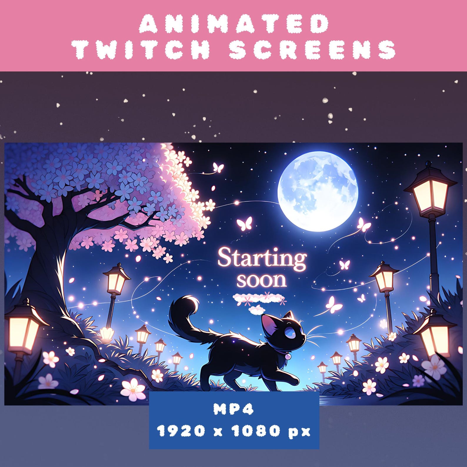 Twitch Starting Soon Screen, Cat in a Glowing Butterfly Stream Screen ...