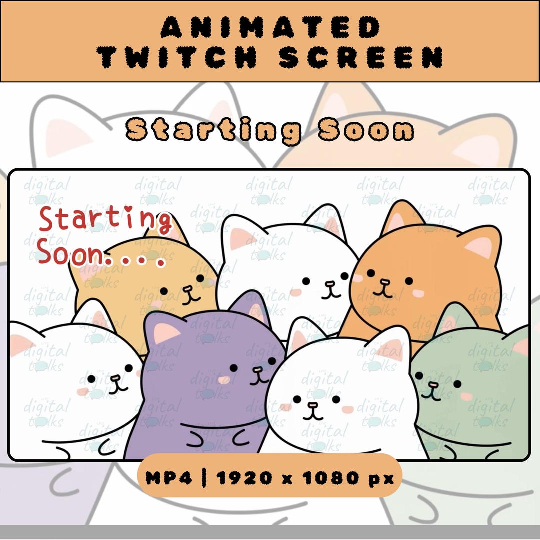 Animated Twitch Starting Soon Screen: Curious Cats (MP4 Digital ...