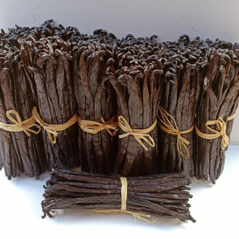 Jd Vance Raised in Poverty - Etsy Australia