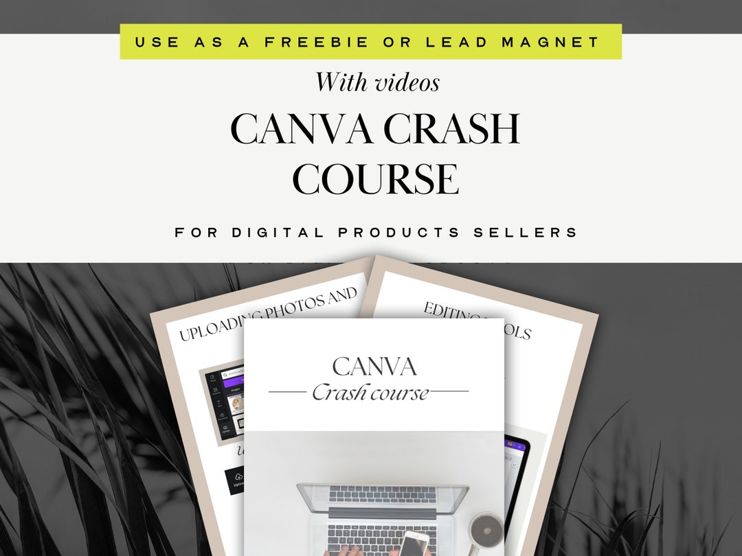 Canva Crash Course: How to Use Canva, Instruction Guide to Create ...