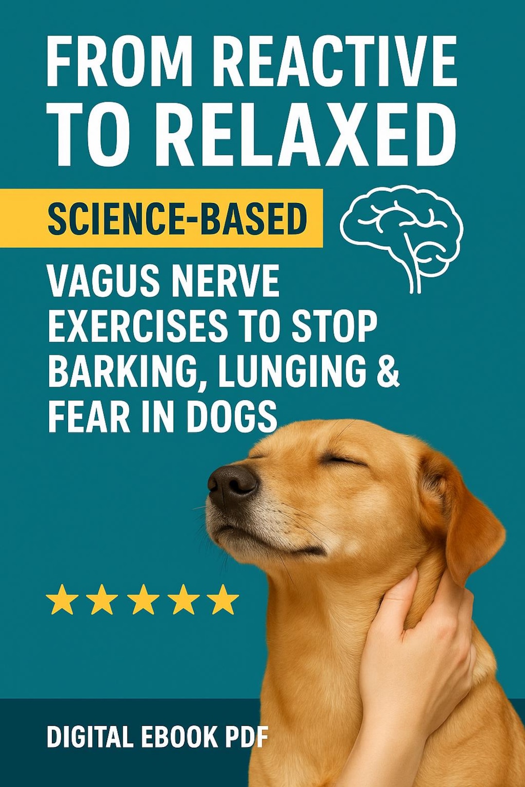 Reactive Dog Training Guide: Vagus Nerve Calming System (PDF) - Etsy