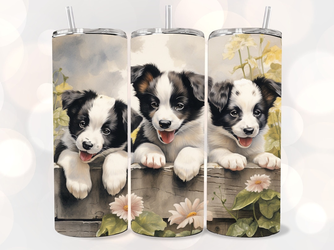 Joyful Tumbler Black&white Border Collie Puppies With Flowers DIY at ...