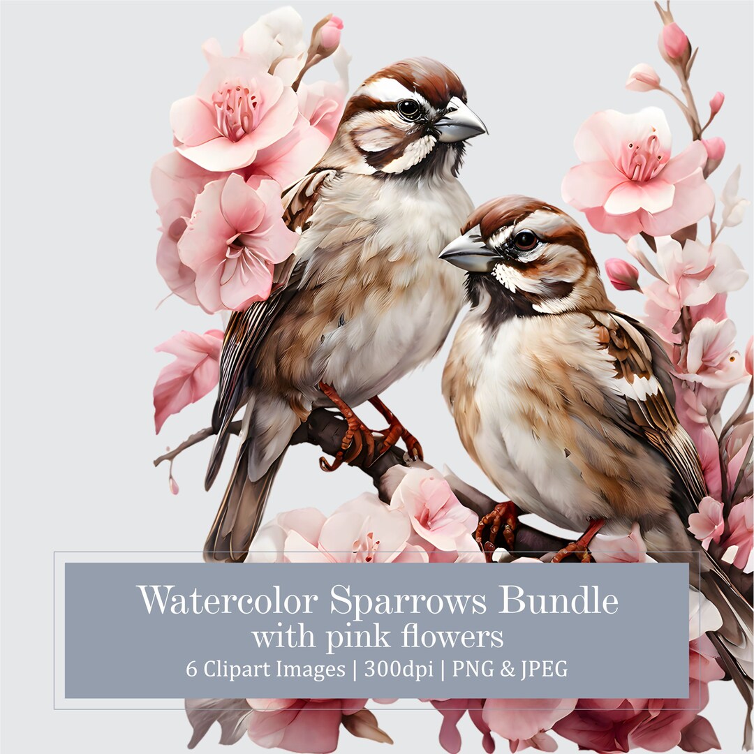 6 Watercolor Sparrows With Pink Flowers Clipart Bundle Digital Download ...