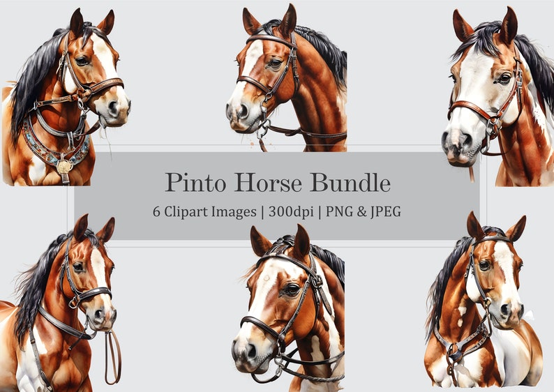 6 Watercolor Pinto Horse Clipart Bundle Digital Download PNG ...